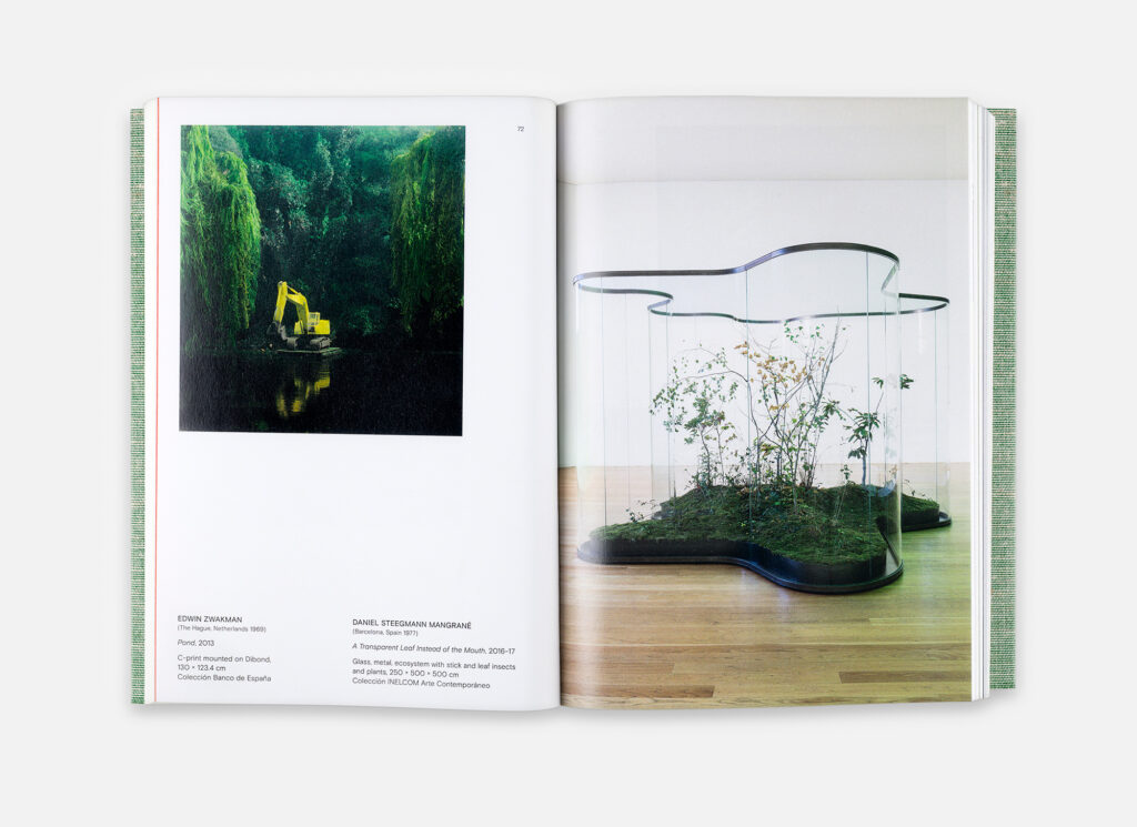 Art in the Time of Ecological Disruption